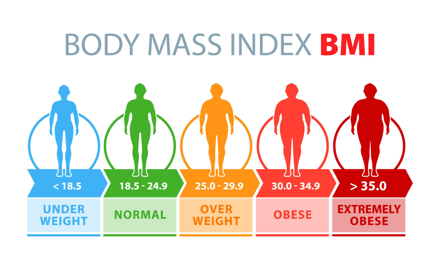 BMI ดัชนีมวลกาย ตัววัดความอ้วนที่คุณควรรู้ - Siam Clinic Thailand